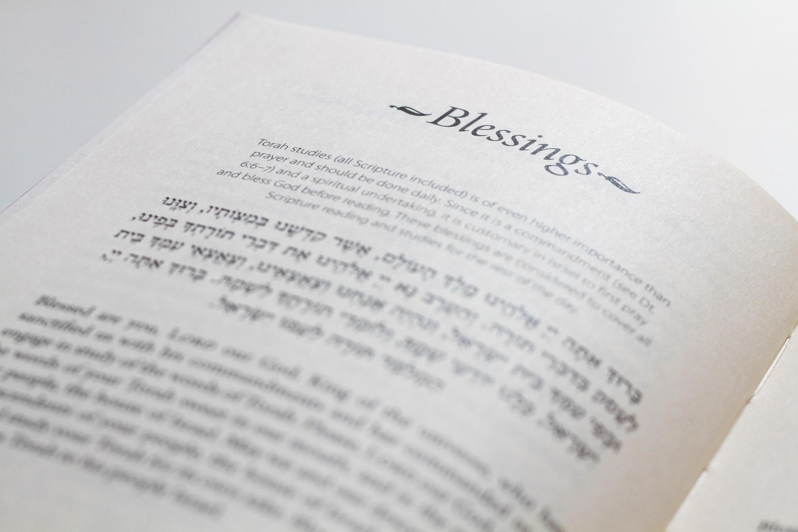 Daily Bread (5786/2026): A Messianic One-Year Bible Reading Journal ...